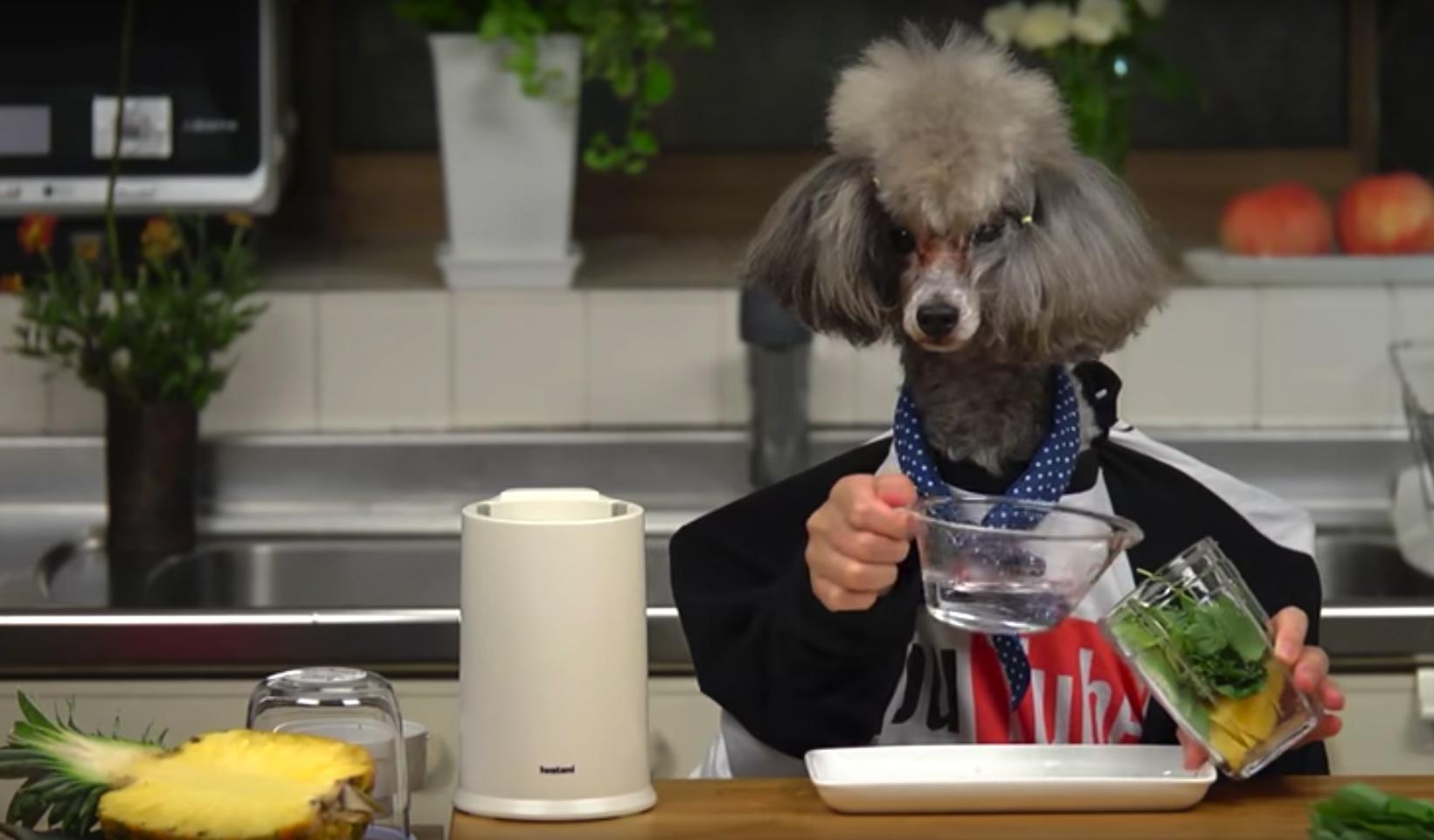 The Best YouTube Cooking Channels