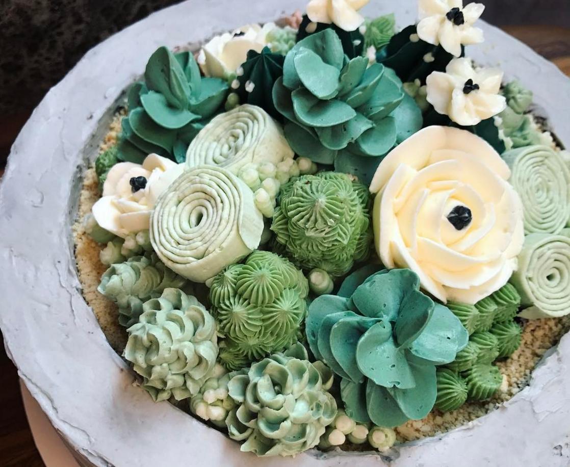 Succulent Cake Trend Hits Instagram, And It's Beautiful