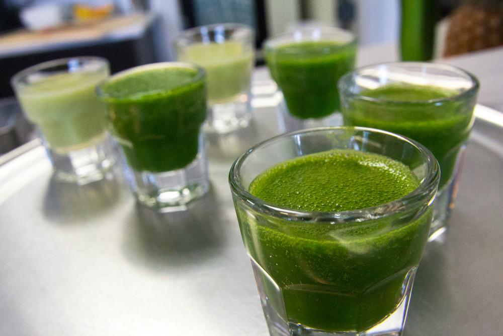 Wheatgrass Allergy Benefits Will Make You Go For The Green Stuff