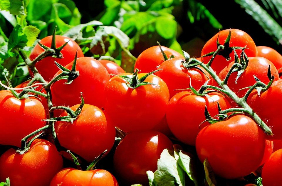 Tomato Cancer Study Reveals A New Reason To Eat Them Daily