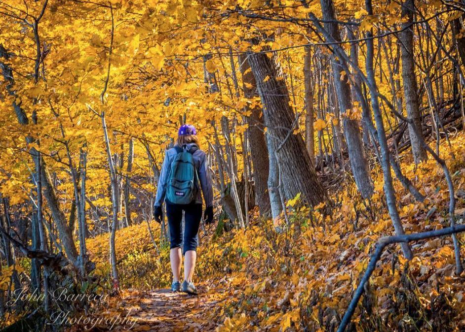 Fall Day Trips From 7 U.S. Cities For Amazing Colors