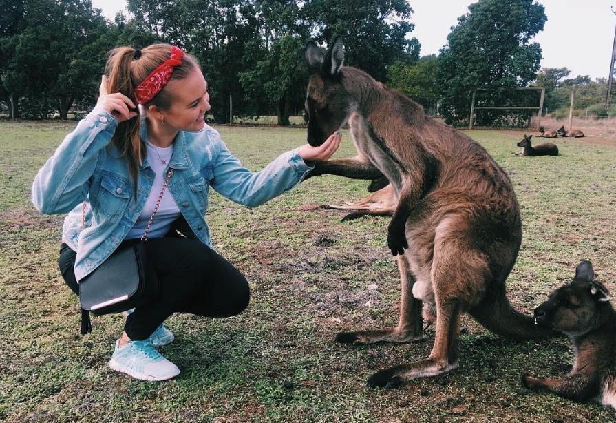 Kangaroo Island Is An Immersive Aussie Animal Playground