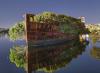 Floating Forest Sydney Is A Spooky Abandoned Shipwreck