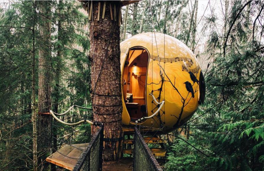 Free Spirit Spheres Are Whimsical Treehouse Rentals