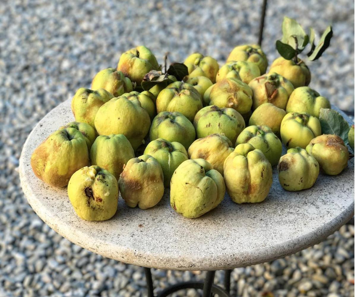 What Is Quince? It's An Apple And Pear Hybrid You Need To Try