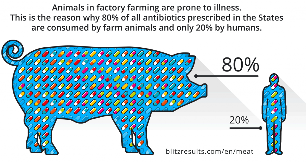 Meat Consumption Calculator Puts Numbers Behind A Values Argument