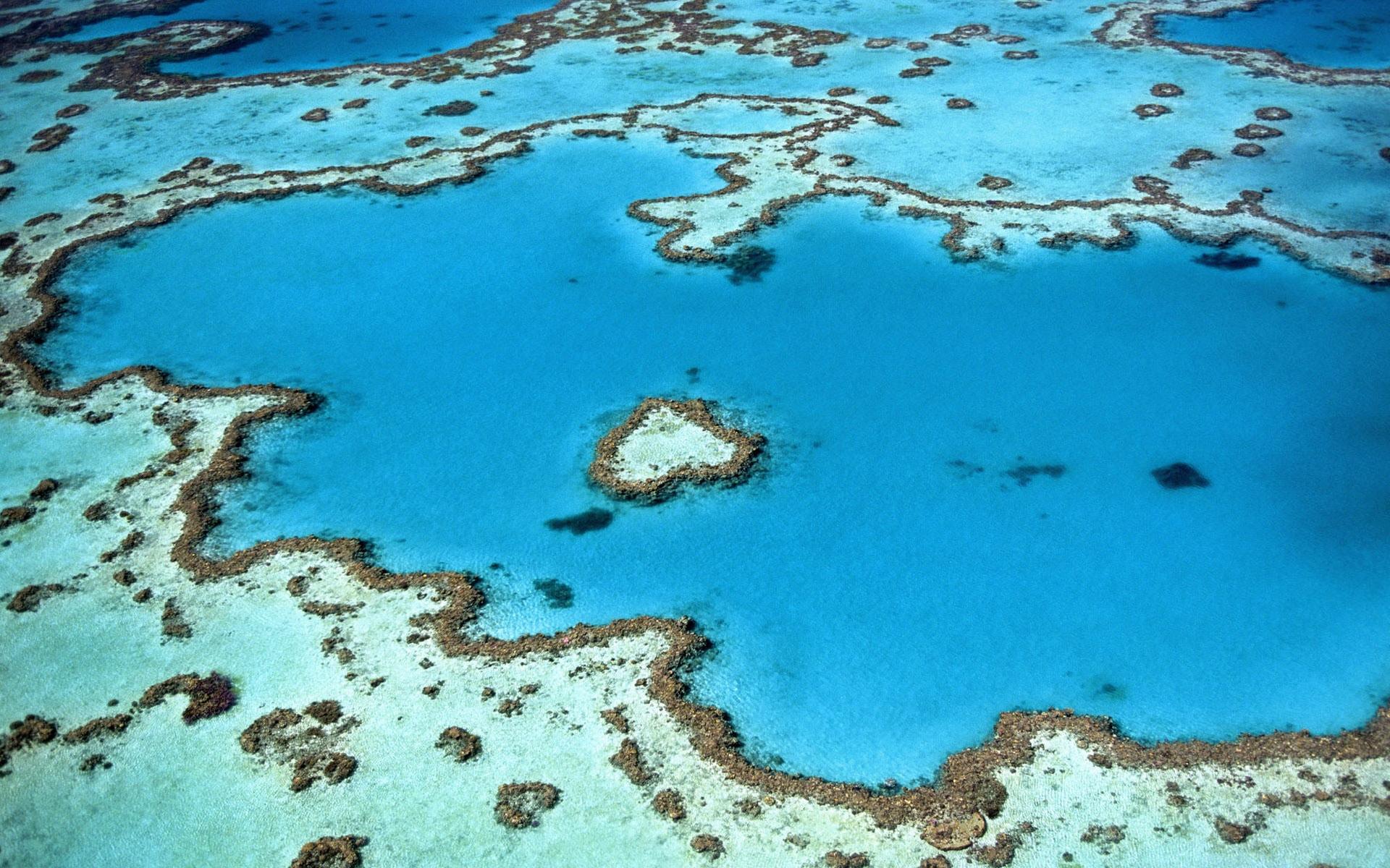 Coral Reef Ecotourism And What Travelers Should Know