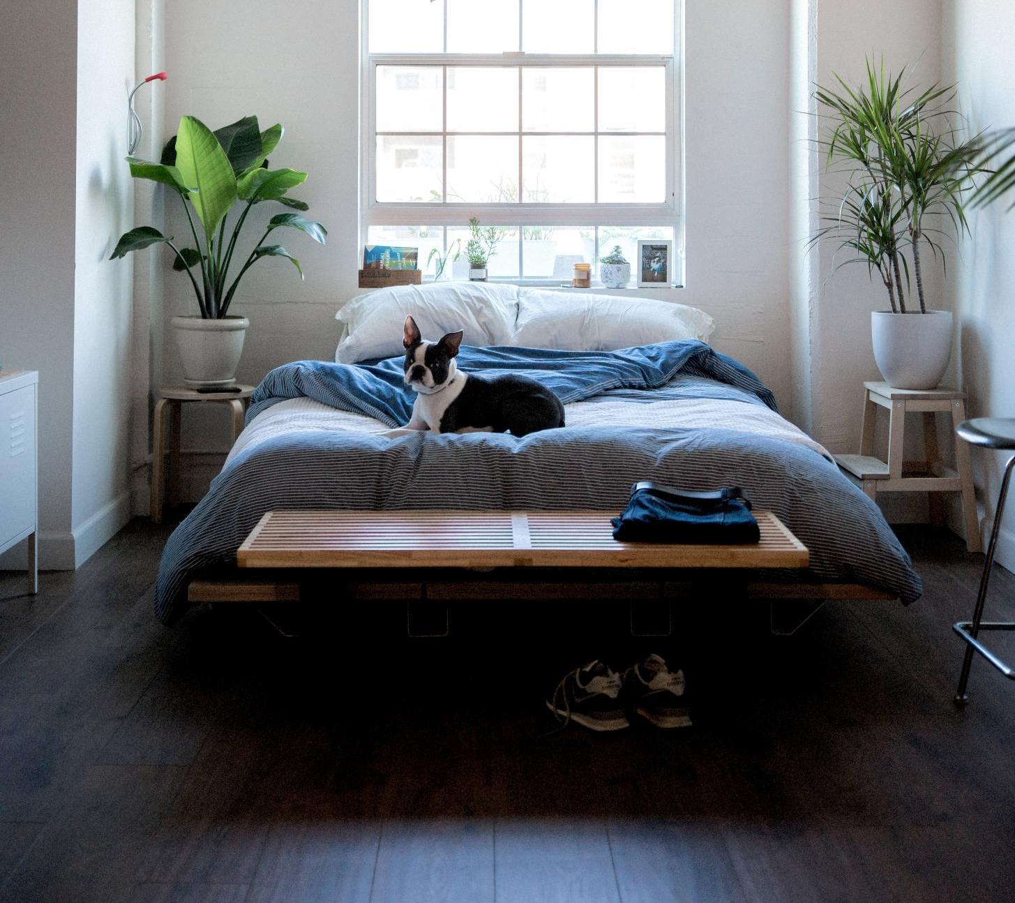 Best Dusting Tip Will Leave You Allergy-Free All Spring Long