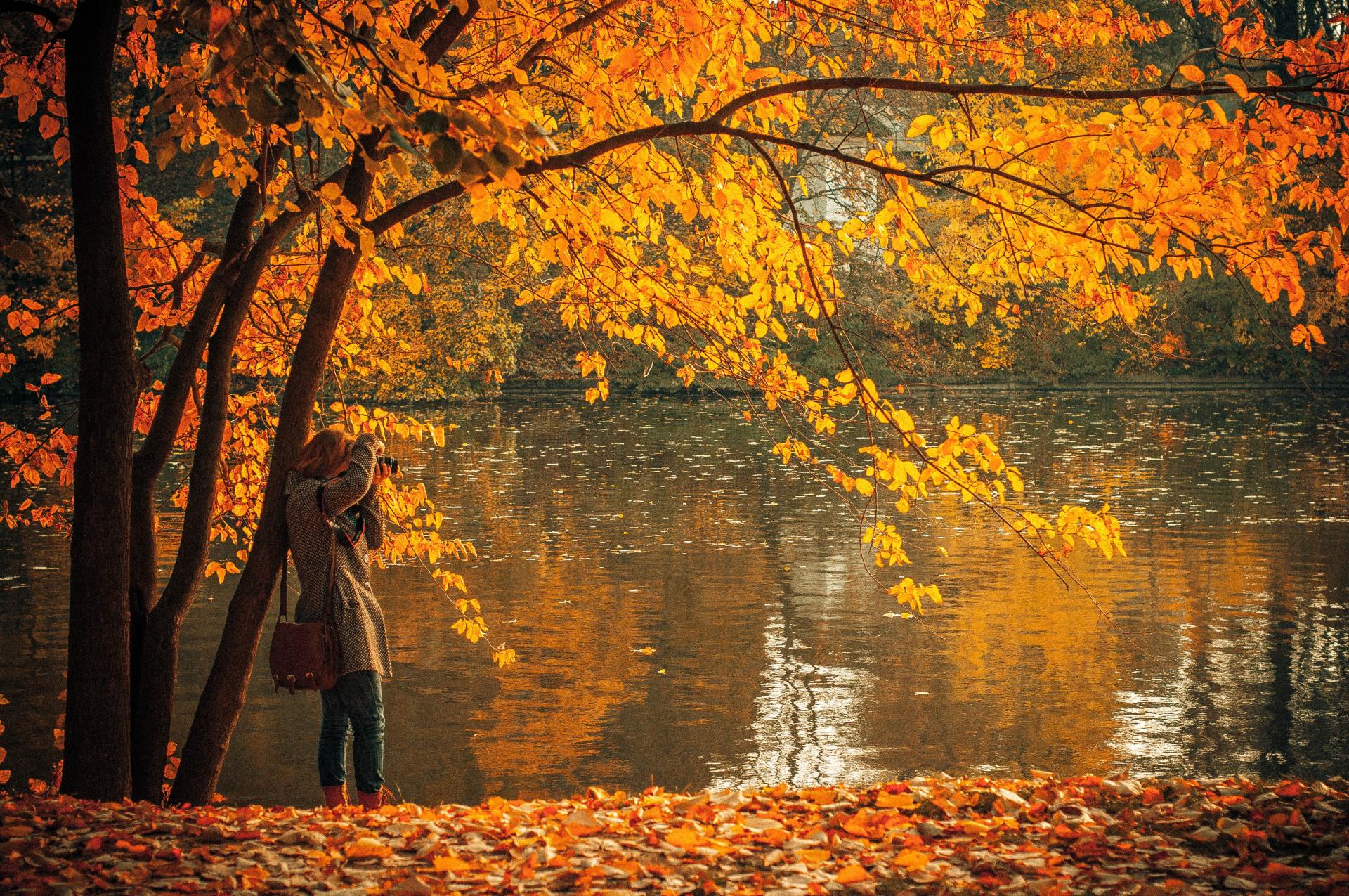 Fall Vacation Places That Have Amazing Autumns