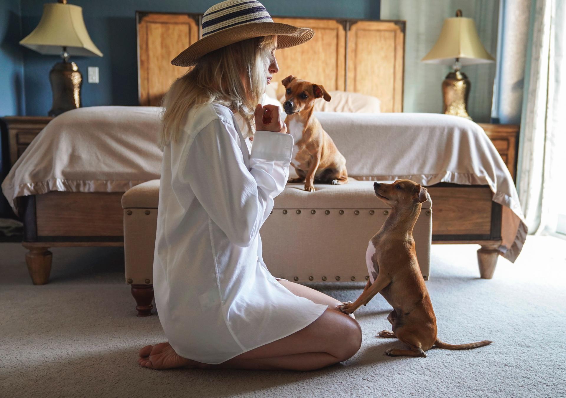 Average Cost Of Boarding A Dog While You re On Vacation Average Cost Of Boarding A Dog While You re On Vacation