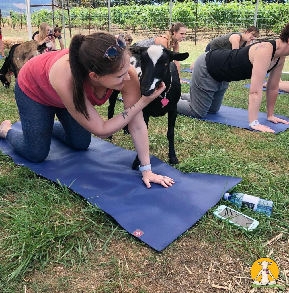 Animal Friendly Workouts That'll Motivate You To Exercise